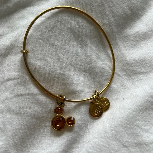 Alex and Ani | Jewelry | Disney Alex And Ani Bracelet | Poshmark